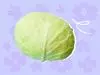 Jak udělat zelí měkčí / Na zelné závitky a saláty