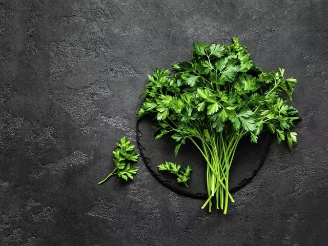 5 feydeyên parsley ku divê hûn li ser zanibin / Û zirara muhtemel a laş