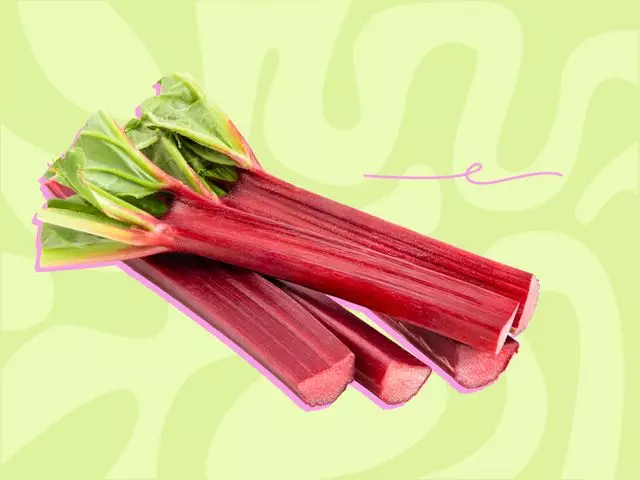 Rhubarb / मानव शरीरको लागि लाभ र हानि - साइटमा "लाभ वा हानि" खण्डबाट एक लेख