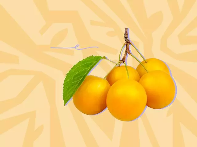 Bakit kapaki-pakinabang ang cherry plum / At kung ano ang lutuin mula dito - isang artikulo mula sa seksyong "Benefit o pinsala" sa site
