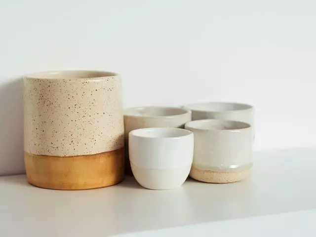 Ce trebuie să știți despre ceramică / Cunoașterea tipurilor și proprietăților vaselor ceramice - un articol de la rubrica „Cum să echipați o bucătărie” de pe site