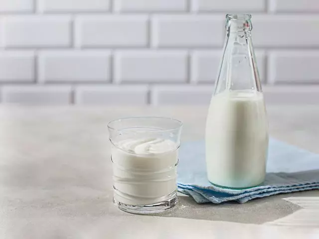 Ayran fermenterad mjölkdryck / Användbara egenskaper och kontraindikationer - en artikel från avsnittet "Hälsosam mat" på webbplatsen