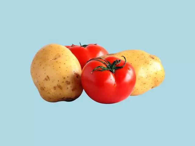Pomidofel / Product dina - artikel saka bagean "Discoveries" menyang situs