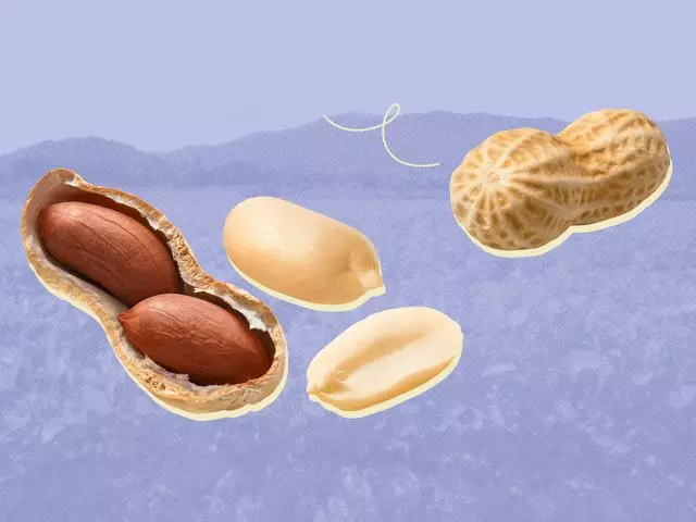 Jak rostou arašídy / Zajímavá fakta o nejdostupnějším ořechu v Rusku - článek ze sekce „Co jíst“ na webu