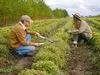 Kako odabrati poljoprivredni proizvodi / Pet pitanja za farmera - članak iz odjeljka 