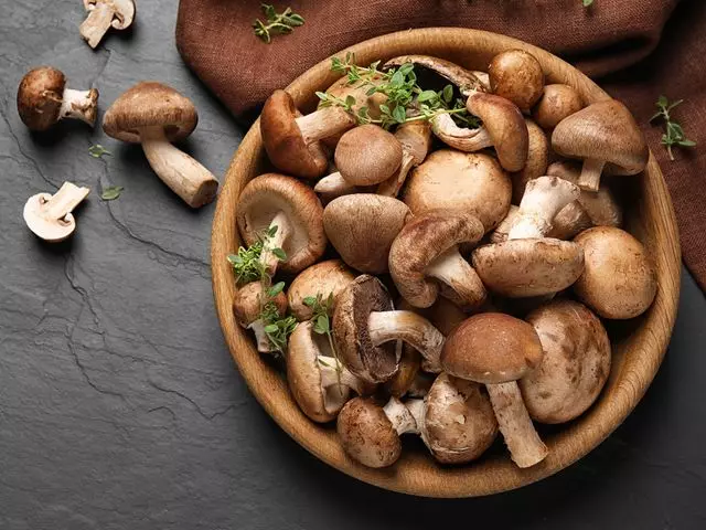 5 najważniejszych pytań dotyczących grzybów: zasady i ostrzeżenia / Jak zbierać, gotować, przechowywać i jeść