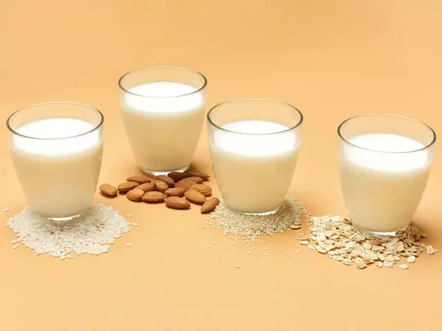 什麼植物奶對人類和地球有益？ - 來自網站“吃什麼”部分的新聞