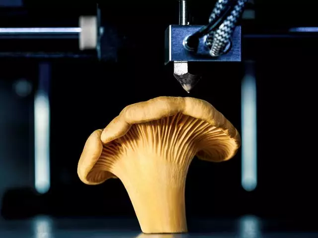 Experter berättade när mat kan skrivas ut på en 3D-skrivare direkt från hemmet
