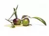 Како да изберете добро маслиново масло и да го проверите неговиот квалитет - напис од делот „Што да јадете“ на страницата 8971_2