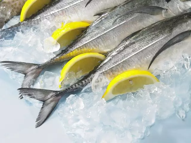 Hoe kinne jo farske fisk kieze / Life hack fan 'e chef - in artikel út' e seksje "Wat te iten" op 'e side