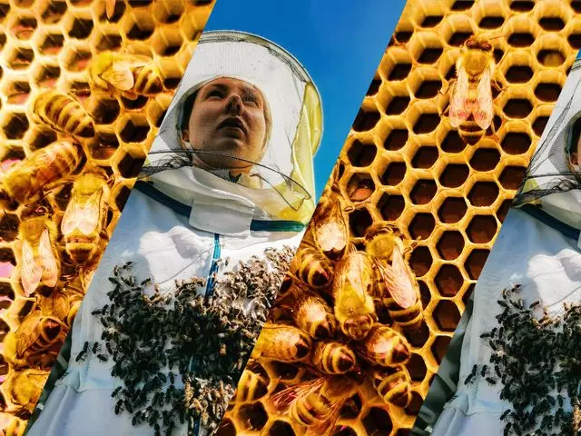 "O vídeo onde levanto os cadros con abellas causa sensación entre os compañeiros financeiros" / Experiencia persoal dun apicultor con alerxia ás abellas - un artigo da sección "Experiencia persoal" do sitio