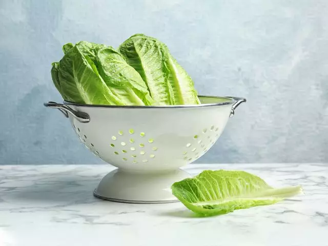Tiktok mendakwa bahawa teh salad membantu anda tidur lebih cepat / Apa kata doktor? – artikel dari kategori "Makanan dan hiburan" ke tapak