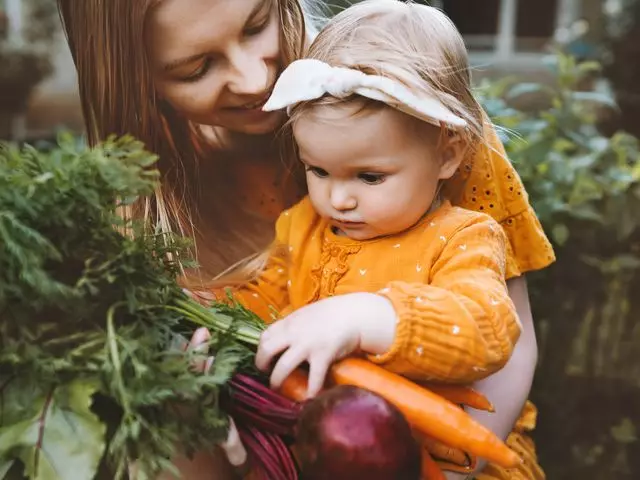 Como enriquecer os primeiros alimentos complementarios con ferro e previr a anemia nun bebé / Conta un experto - un artigo da sección "O enfoque correcto" do sitio